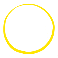 Highlight Circle
