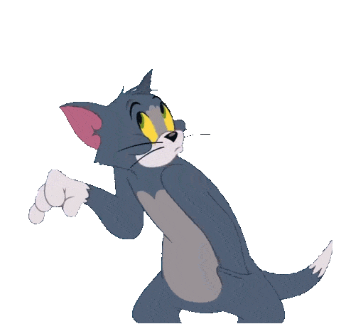 Tom Cat From Tom And Jerry