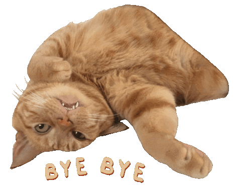 Sad Goodbye Cat Meme