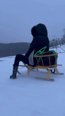 Snow Sledding GIF by BIXOproduction - Find & Share on GIPHY
