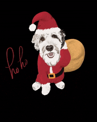 Animated Christmas Dog Gifs