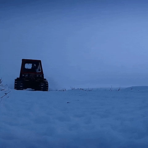 Generation-zero GIFs - Get the best GIF on GIPHY