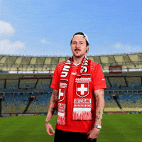 Sow GIFs - Get the best GIF on GIPHY