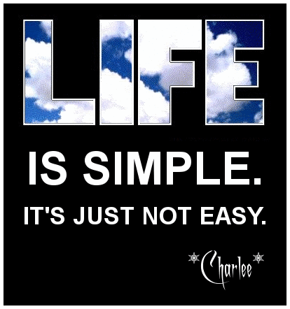 The Simple Life GIF - Find & Share on GIPHY