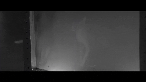 Locked In Magic GIF by Jakob Nowell - Find & Share on GIPHY