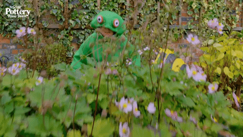 Fancy Frog GIFs - Get the best GIF on GIPHY