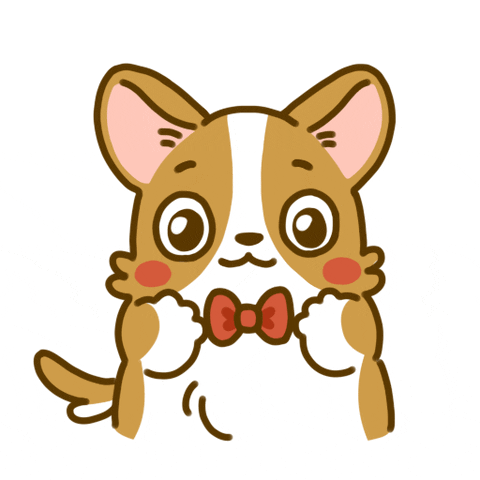 Welsh Corgi Wow GIF by Lazy Corgi - Find & Share on GIPHY