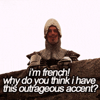 Monty Python And The Holy Grail French Gif