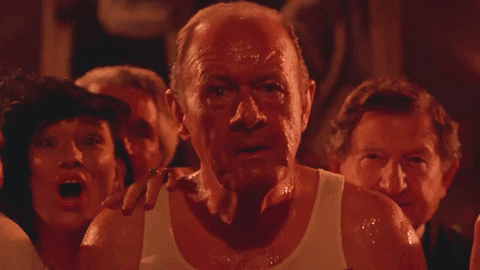 Happy Cult Film GIF by Arrow Video - Find & Share on GIPHY