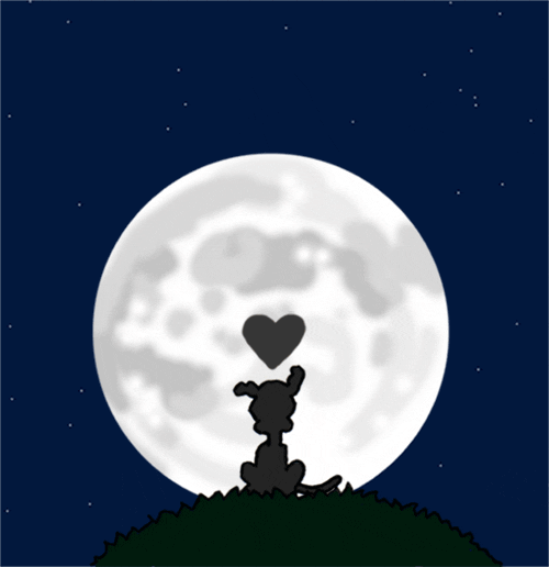 I Heart Sleep GIFs - Get the best GIF on GIPHY