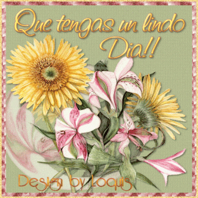 Lindo GIFs - Get the best GIF on GIPHY