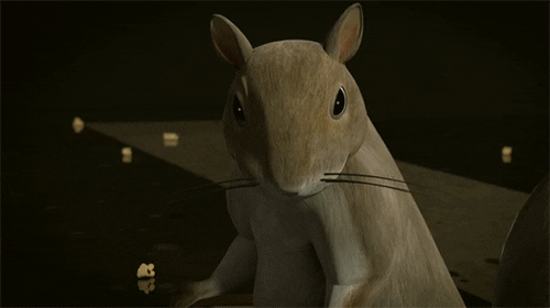 Squirrel Brains GIFs - Get the best GIF on GIPHY