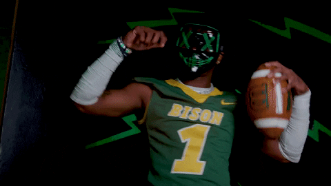 Bison GIF by NDSU Athletics - Find & Share on GIPHY