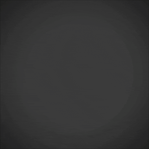 Federal Budget GIFs - Get the best GIF on GIPHY