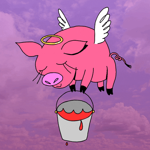 Pigs Blood GIFs - Get the best GIF on GIPHY