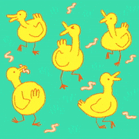 Quacky GIFs - Get the best GIF on GIPHY