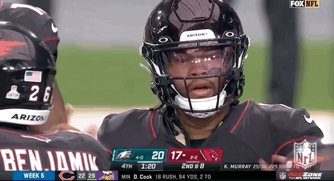 Arizona Cardinals Football GIF by NFL - Find & Share on GIPHY