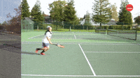 Tennis-racket GIFs - Get the best GIF on GIPHY
