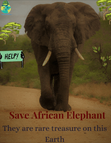 Protect-animals GIFs - Get the best GIF on GIPHY