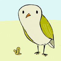 Early Bird Gets The Worm Gif