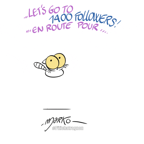 Cat Go GIF by marko - Find & Share on GIPHY