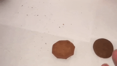 Run Away Cookie GIFs - Get the best GIF on GIPHY
