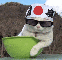 Lag Meme GIFs - Find & Share on GIPHY