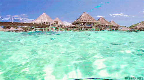 Ocean Wave GIF - Find & Share on GIPHY