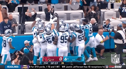 Carolina Panthers Football GIF by NFL - Find & Share on GIPHY