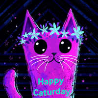 Happy Caturday