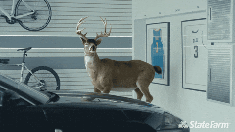 Angry Kick GIF by State Farm - Find & Share on GIPHY