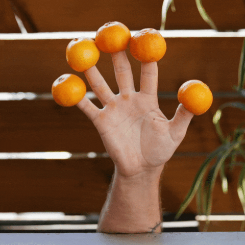 Pivot GIF - Find & Share on GIPHY