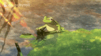Frog GIFs - Get the best GIF on GIPHY