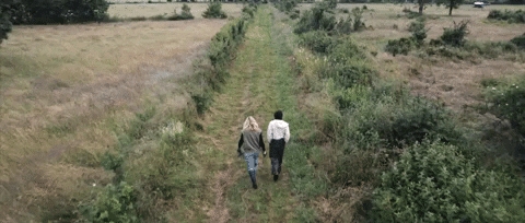 On The Wild Side GIFs on GIPHY - Be Animated