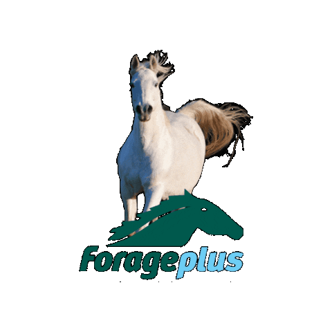 Forageplus GIFs on GIPHY - Be Animated