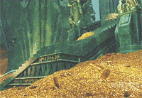 Smaug Flying Gif