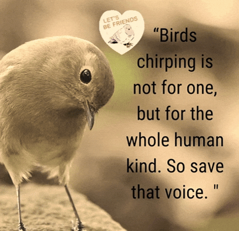 Lets-grow-food GIFs - Get the best GIF on GIPHY