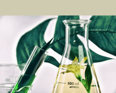 Lab Ingredients GIF - Find & Share on GIPHY