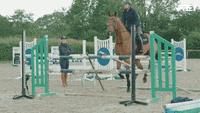 Horse Show Jumping Gif