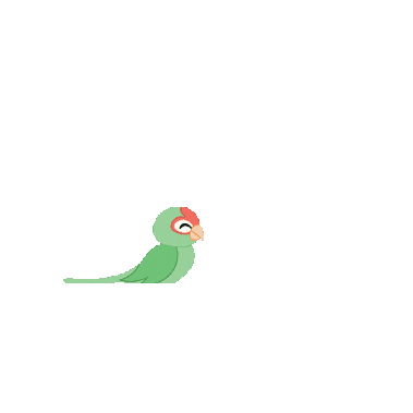 Parrot Flying Gif