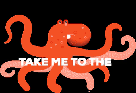 Octopus GIF by Seattle Aquarium - Find & Share on GIPHY