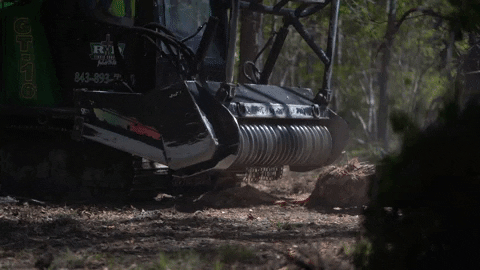 Trees Mulching GIF by Gyro-Trac - Find & Share on GIPHY