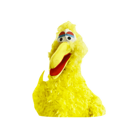 Huge Bird GIFs - Find & Share on GIPHY