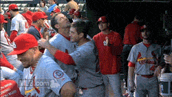 St. Louis Cardinals Baseball GIF by MLB - Find & Share on GIPHY