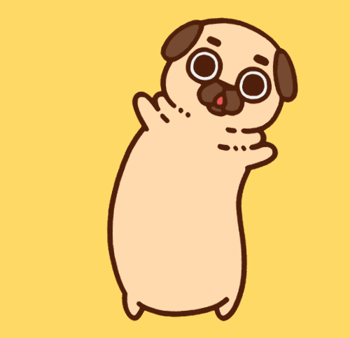 Pug Dance GIFs - Get the best GIF on GIPHY