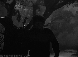 New trending GIF tagged movies vintage horror retro… | Trending Gifs