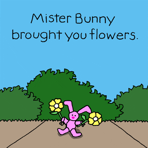 Mister Bunny GIFs - Get the best GIF on GIPHY