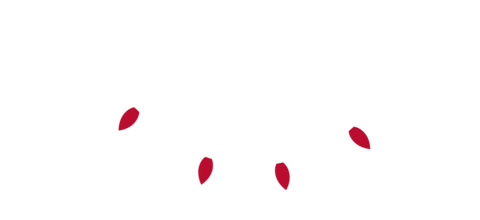 Canada Life / Canada Vie GIFs - Find & Share on GIPHY