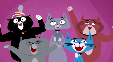 Hooray Cat GIFs - Get the best GIF on GIPHY