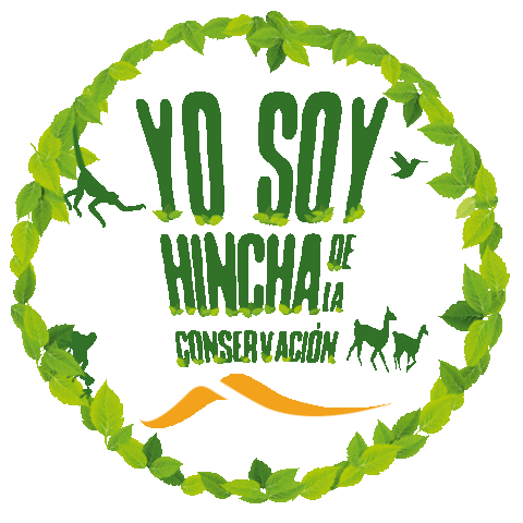 SernanpPerú GIFs on GIPHY - Be Animated